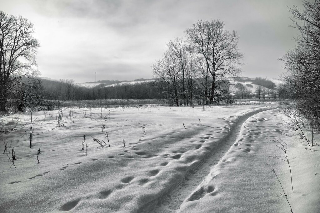 Otomobil pisti Автодром, Belgorodskaya oblastı, foto