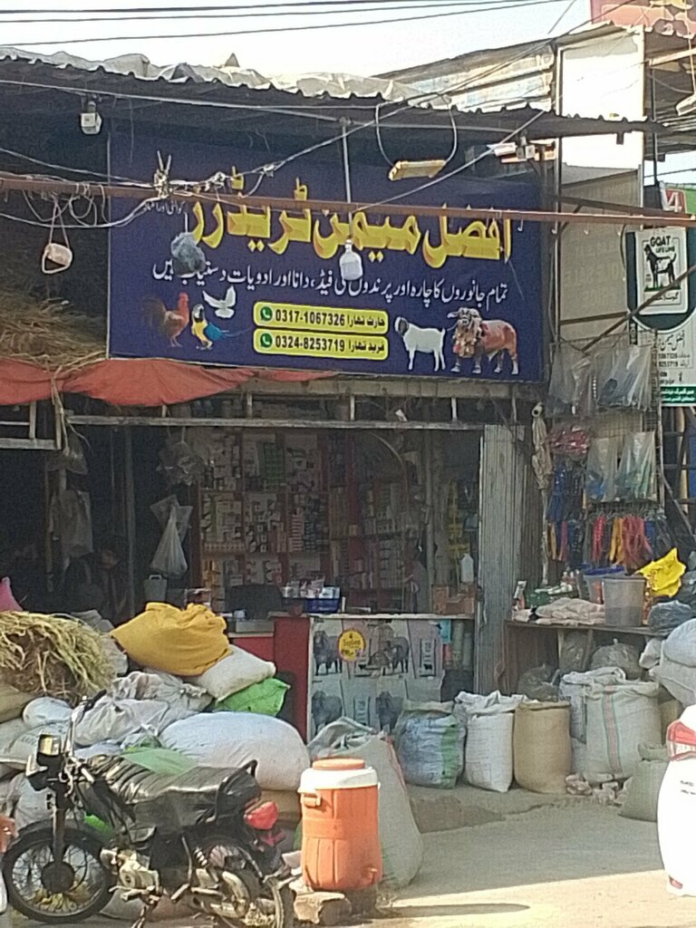 Yem ve yem katkı maddeleri Afzal memon trader, Karaçi, foto