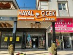 Hayal Çiçekçilik (Gaziantep, Şehitkamil, Atakent Mah., 02015 Nolu Cad., 21D), çiçekçiler  Gaziantep'ten