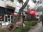 Tempo Emlak (19 Mayıs Mah., Sinan Ercan Cad., No:28B, Kadıköy, İstanbul), emlak ofisi  İstanbul'dan