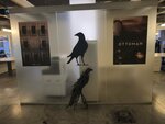 Karga7 Pictures (İstanbul, Şişli, Esentepe Mah., Hikaye Sok., 13), video stüdyo ve çekim hizmetleri  İstanbul'dan