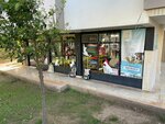 Pet Grooming Saloon (Antalya, Konyaaltı, Toros Mah., 845 Sok., 8B), evcil hayvan kuaförleri  Antalya'dan