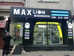 Max Lion (İstanbul, Esenler, Mimar Sinan Mah., 72. Sok., 8B), cep telefonu aksesuarları  İstanbul'dan
