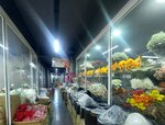 Amca Organizasyon (Karasoku Mah., Karasoku Sokak, No:18A, Seyhan, Adana), yapay bitki ve çiçek  Adana'dan
