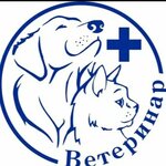 Веткабинет ДокторВЕТ (No:2, posyolok Novyye Doma), veteriner klinikleri  Moskova ve Moskovskaya oblastından