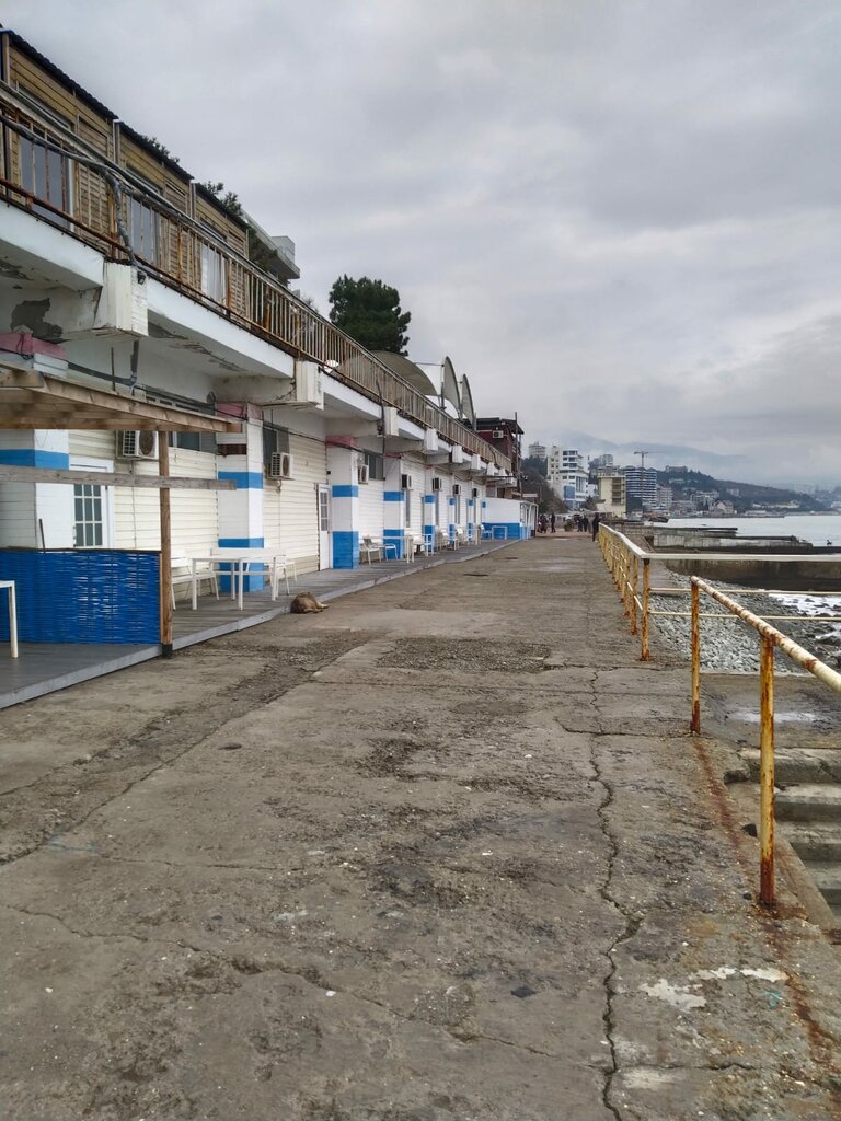 Resort oteller, tesisler Coast, Aluşta, foto