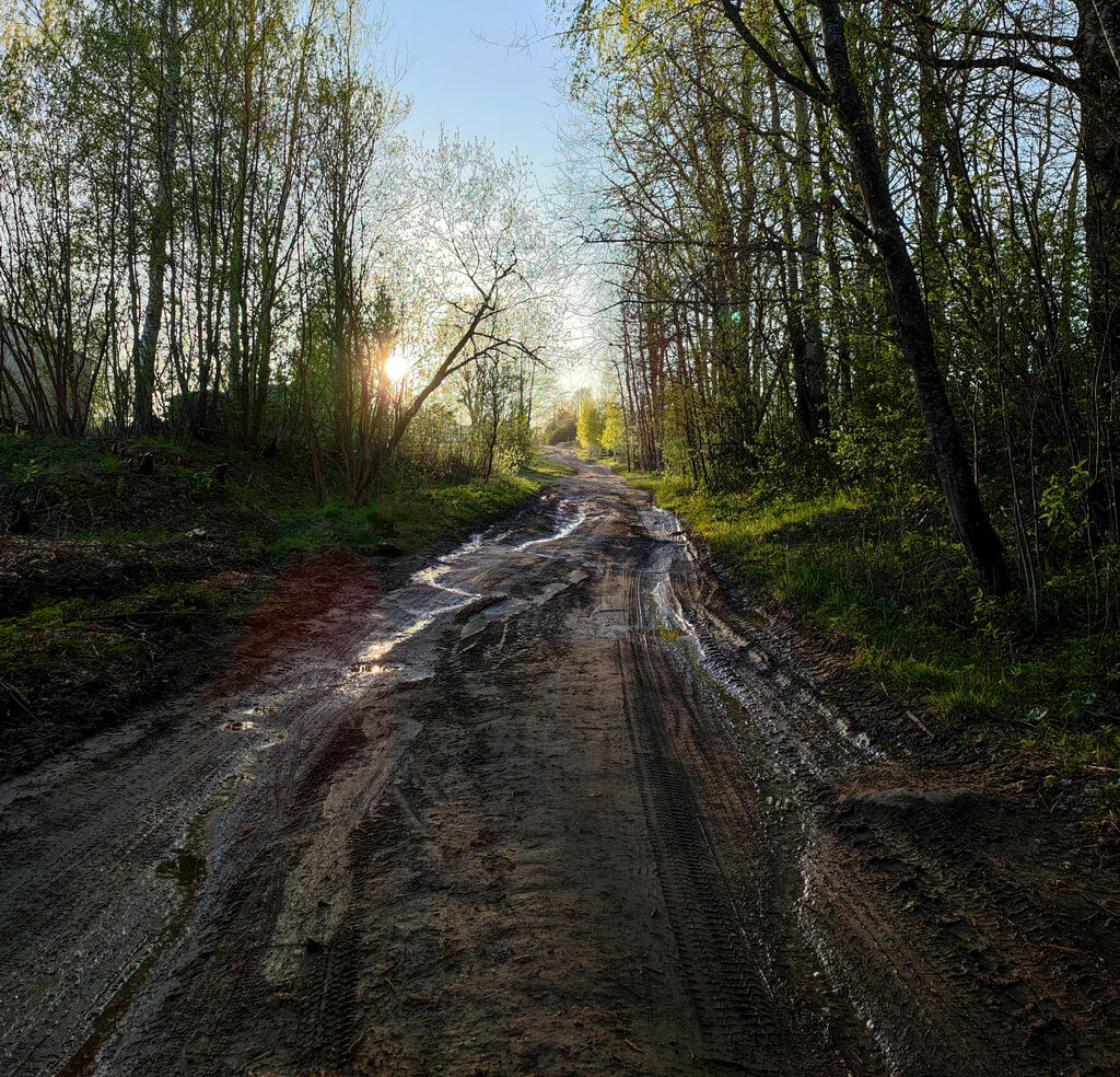 Pınar, çay Spring, stream, Vologodskaya oblastı, foto