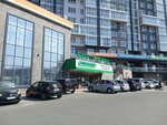 Toyosu (Admirala Gorshkova Street No:8, Pervorechenskiy District, mikrorayon Snegovaya Pad), suşi restoranı  Vladivostok'tan