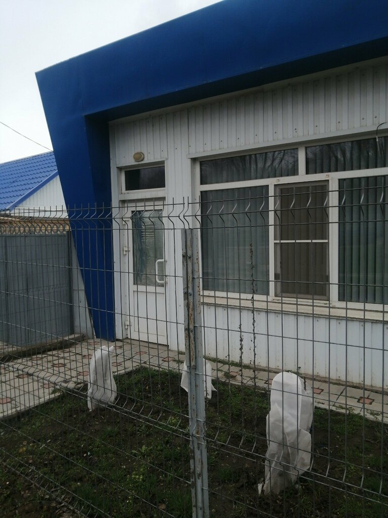Elektronik ofis ekipmanları tamiri Ремонт офисной техники, Elista, foto