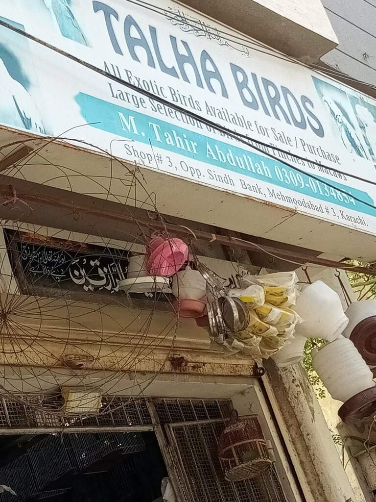 Petshop Talha birds, Karaçi, foto