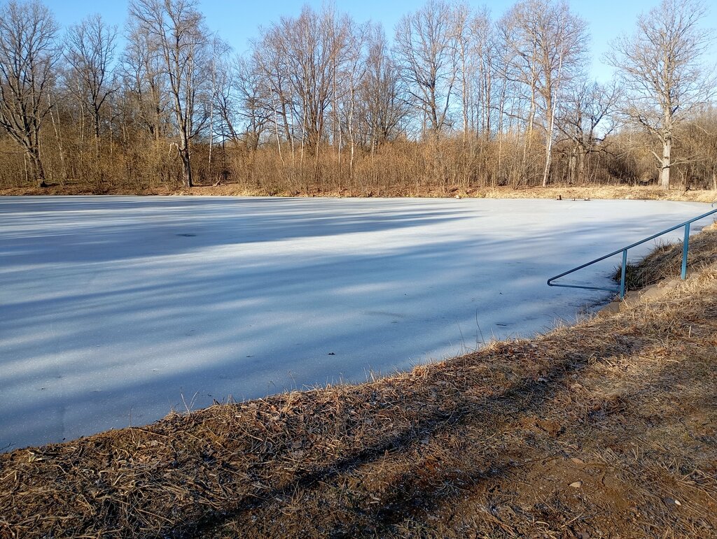 Plaj Пляж, Vladimirskaya oblastı, foto