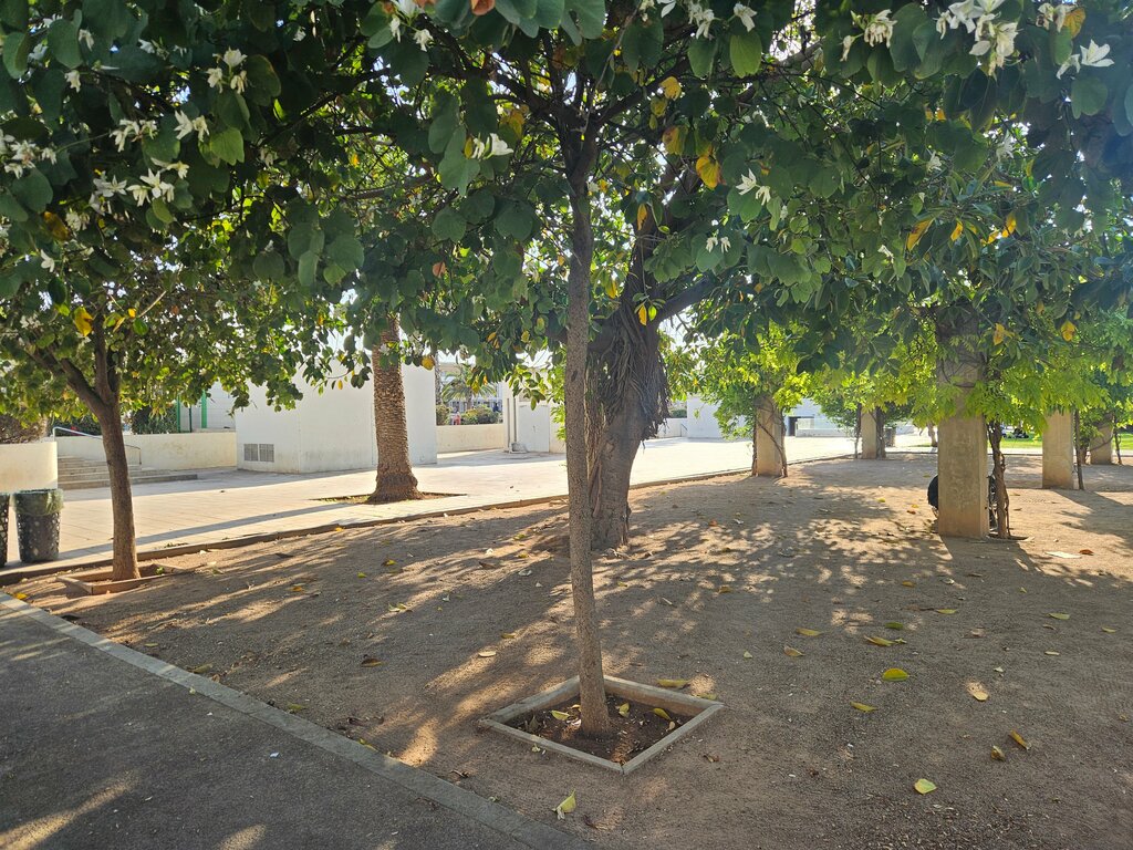Restoran Heraclès, Kazablanka, foto