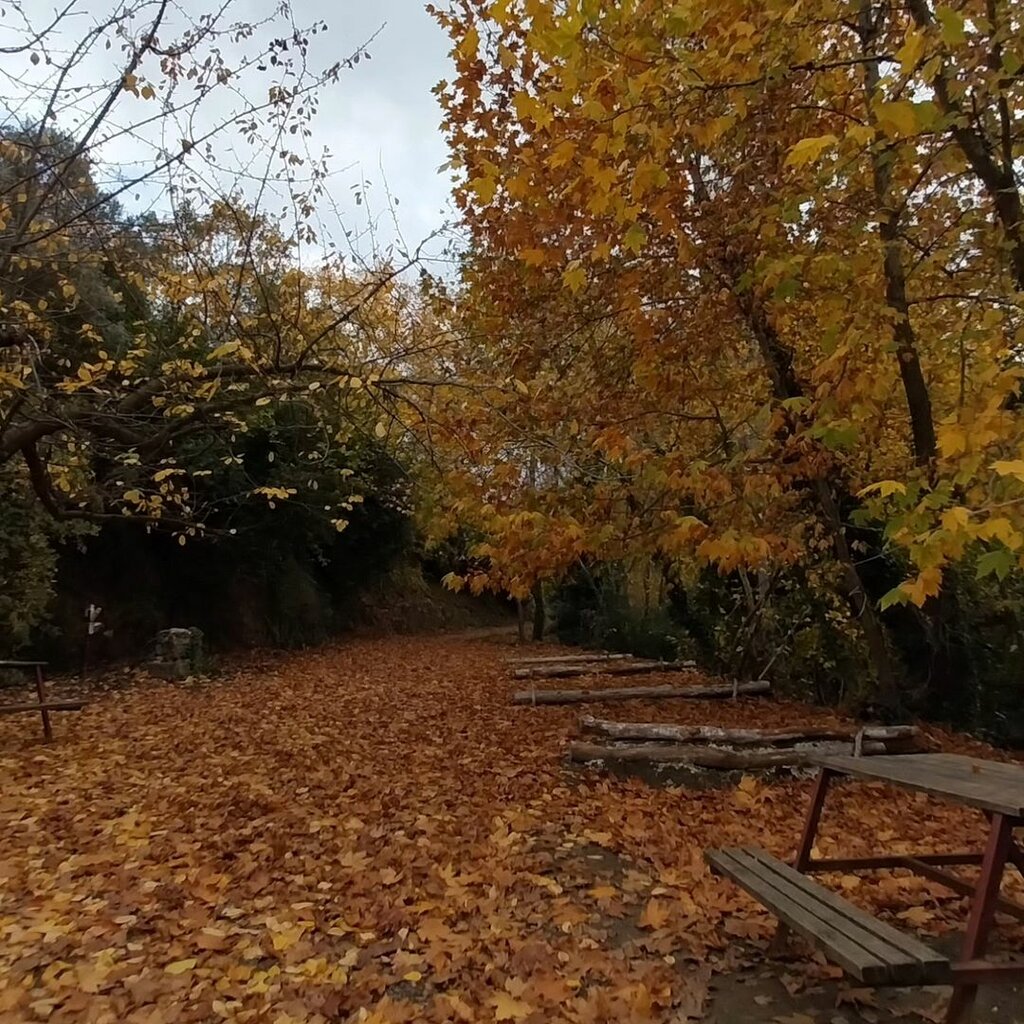 Kafe Şiringöl, Selçuk, foto