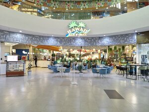 Hawaii Bar & Grill (Tashkent trakti No:17К, Almaty), kafe  Almatı eyaletinden