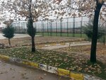 Beşiri Lisesi (Batman, Beşiri, Diyarbakır Cad., 48), ortaokul  Beşiri'den