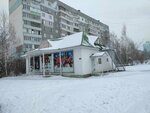 Шайбодром (Lyadova Street No:48Б), spor kulüpleri  Penza'dan