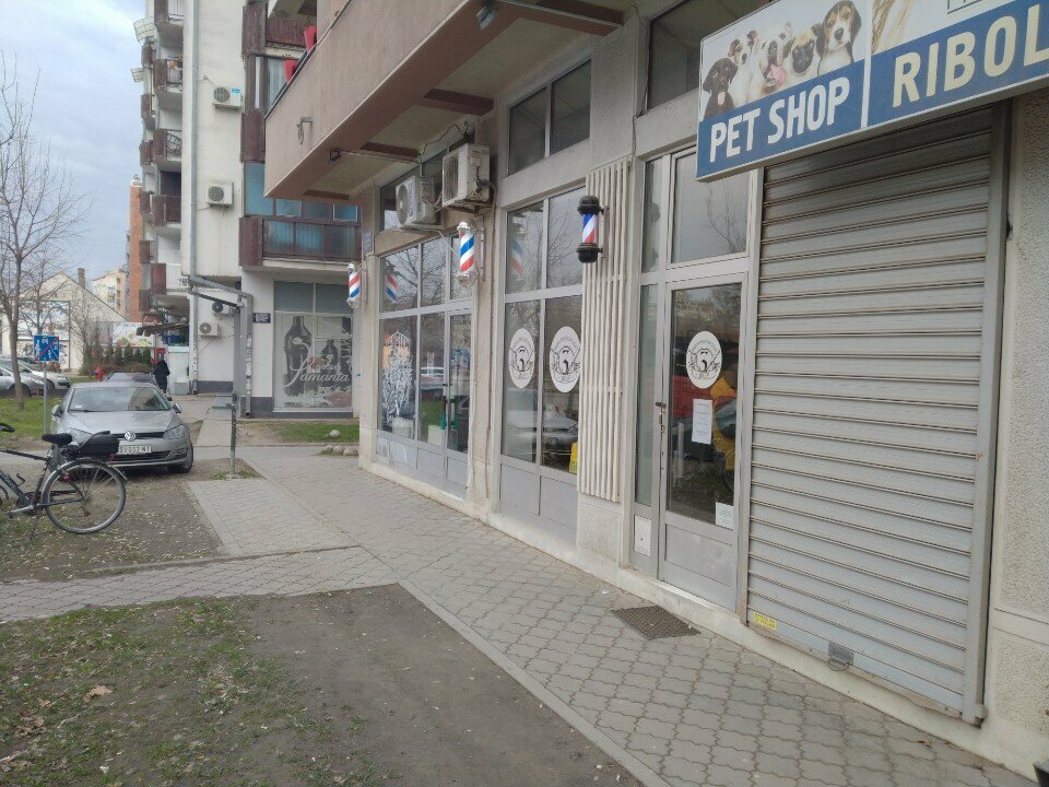 Çocuk gelişim merkezleri Zicer, Novi Sad, foto