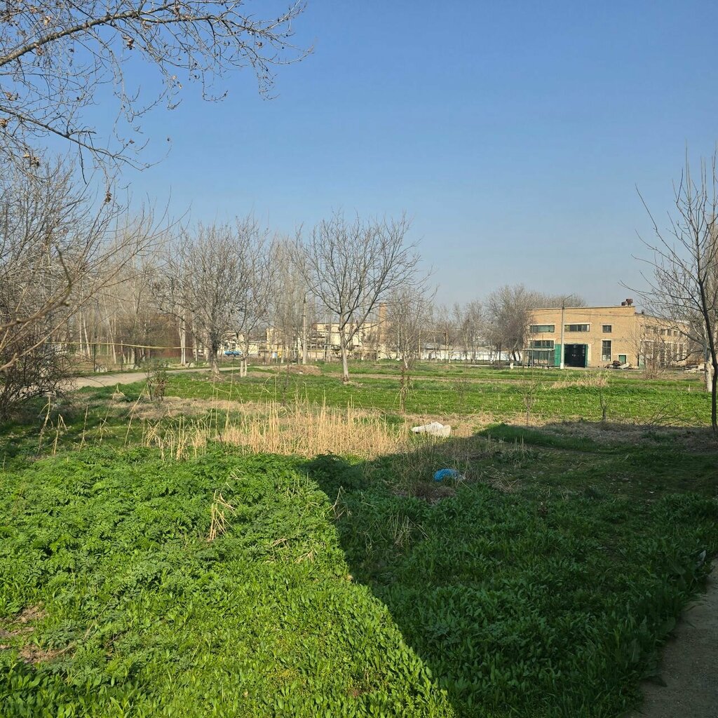 Süpermarket Makro Warehouse, Taşkent, foto