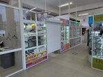 Reni (ulitsa Babushkina No:37А), optik  Ulan‑Ude'den