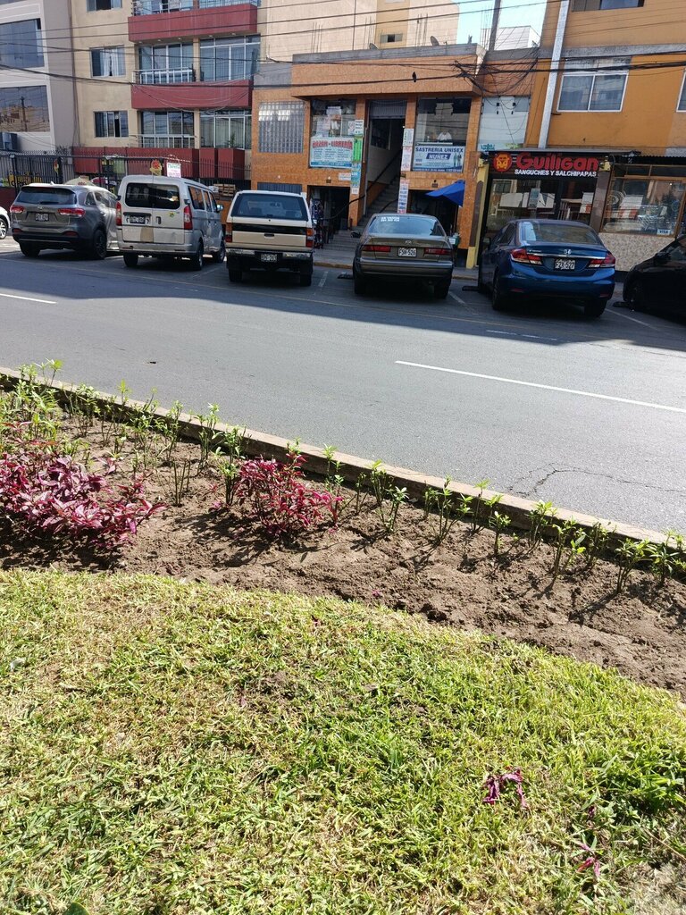 Petshop Piskumascotas, Lima, foto