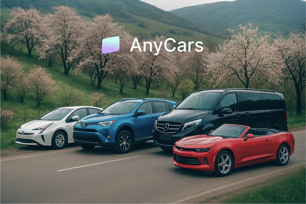 Oto kiralama AnyCars, Tiflis, foto