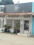 Kiel (Luanda, Estrada Camama-Dangereux (Estrada Camama-Talatona)), çiçek pazarı  Loanda'dan
