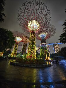 Gardens by the Bay (Singapore, Gardens by the Bay), kültür ve eğlence parkları  Singapur'dan