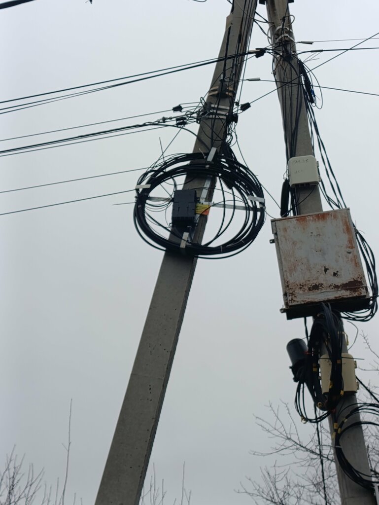 Doğa koruma alanı Псху-Гумистинский заповедник, Sukhumi Bölgesi, foto