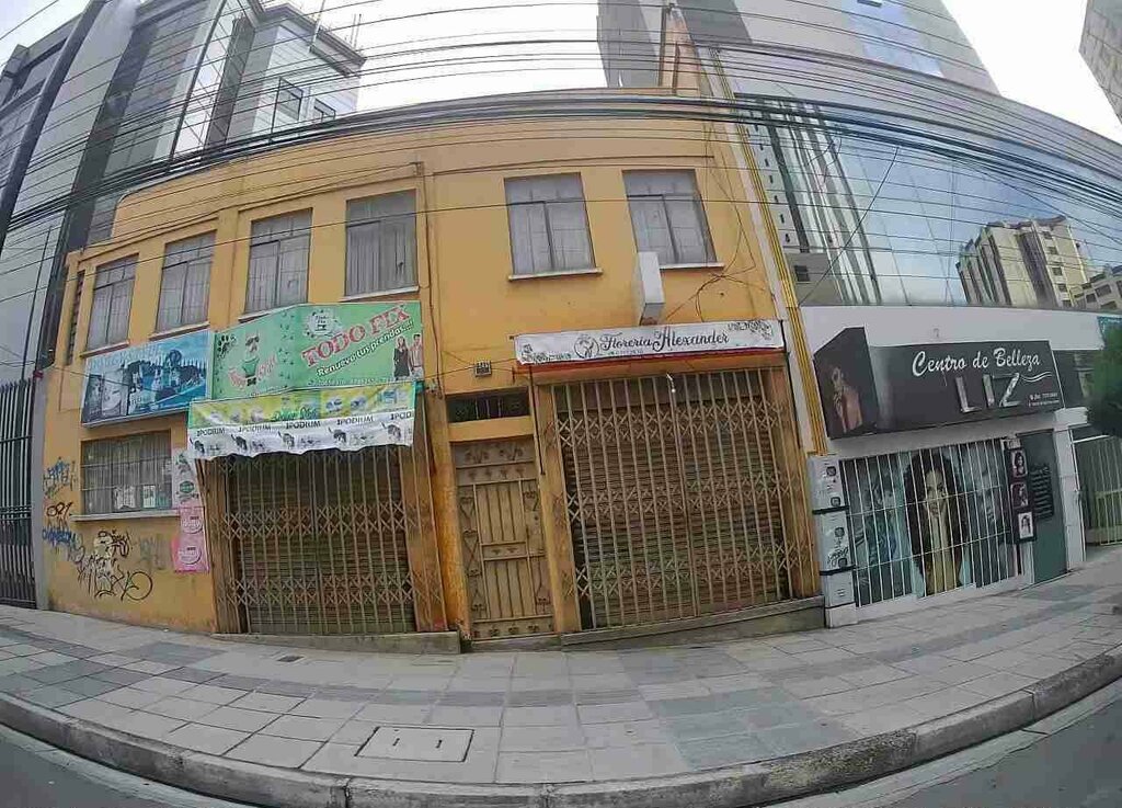 Bahçecilik mağazaları Floreria Alexander, La Paz, foto