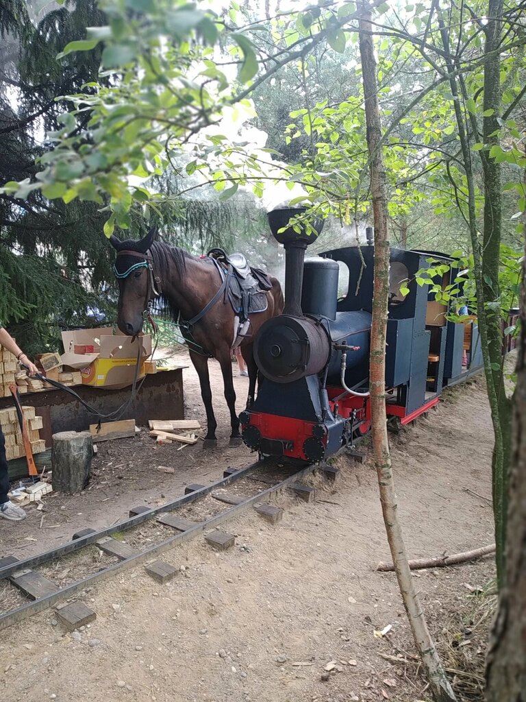 Kültür ve eğlence parkları парк усадьбы А.К. Толстого, Saint‑Petersburg ve Leningradskaya oblastı, foto