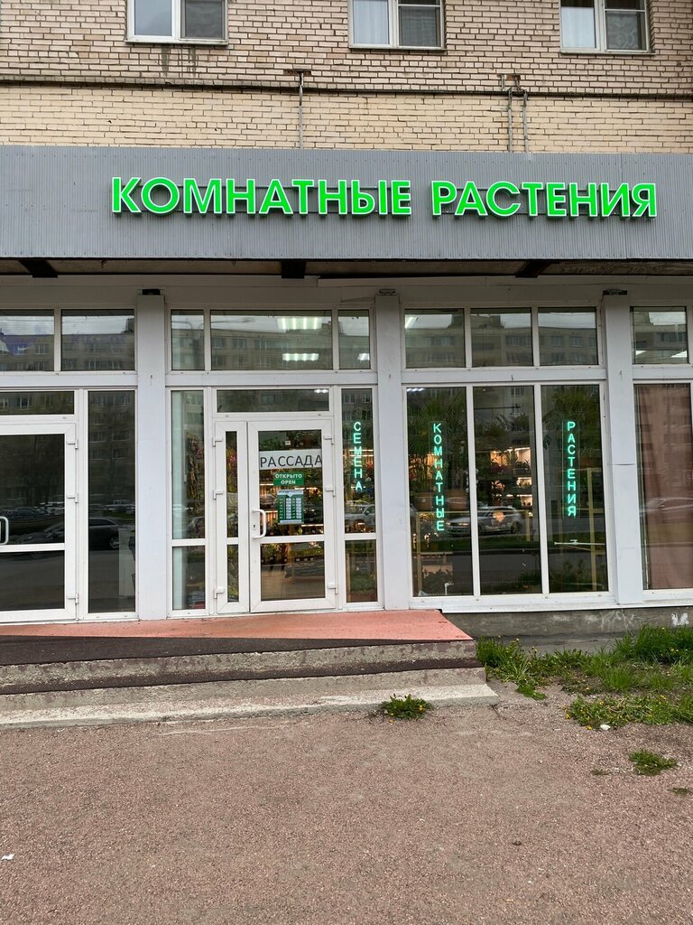 Çiçekçiler Зеленая комната, Saint‑Petersburg, foto