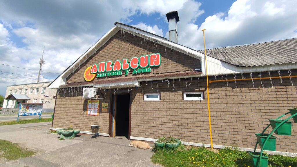 Mini-market Апельсин, Nijegorodskaya oblastı, foto