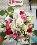 Цветы на Красноармейской 6 (Krasnoarmeyskaya ulitsa No:6), çiçekçiler  Kostyukovichi'den