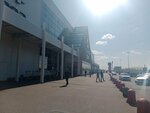 Контейнер для фильтров (Kollontay Street No:3В), geri dönüşüm maddeleri  Saint‑Petersburg'dan
