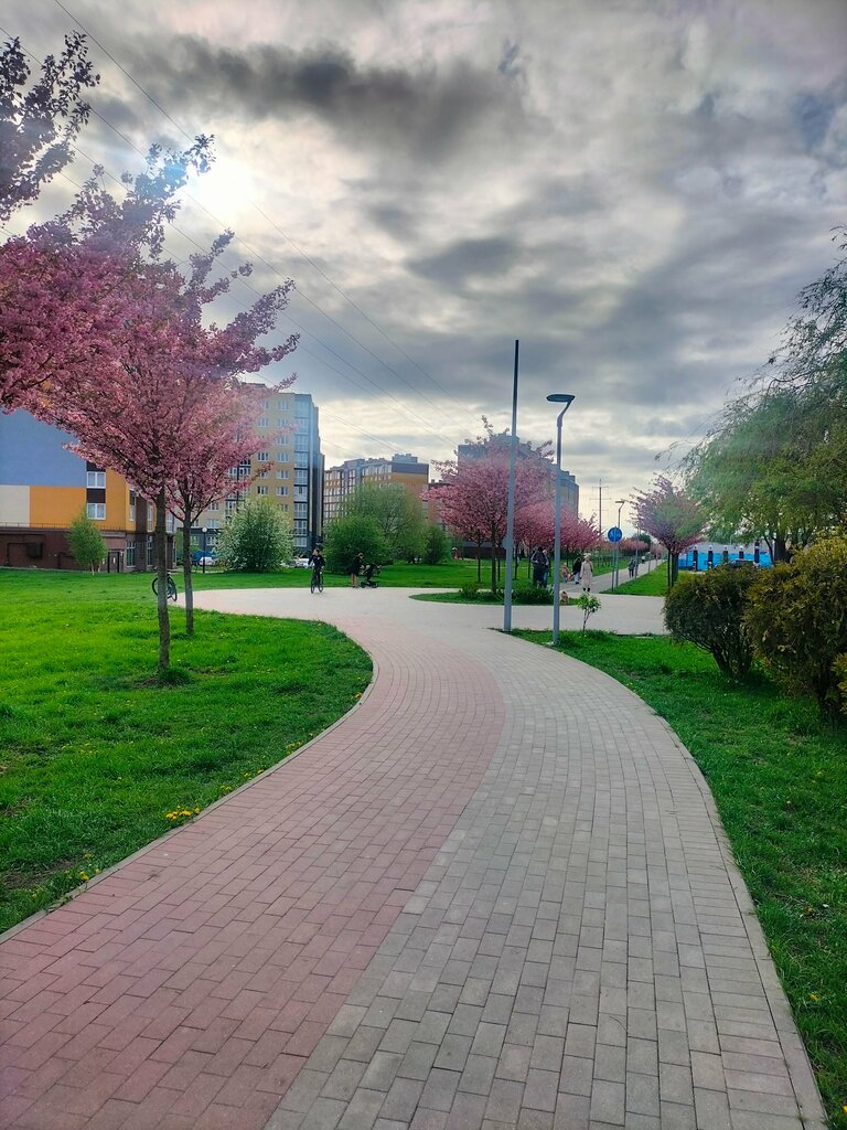 Kültür ve eğlence parkları Елизаветинский сквер, Kaliningrad, foto