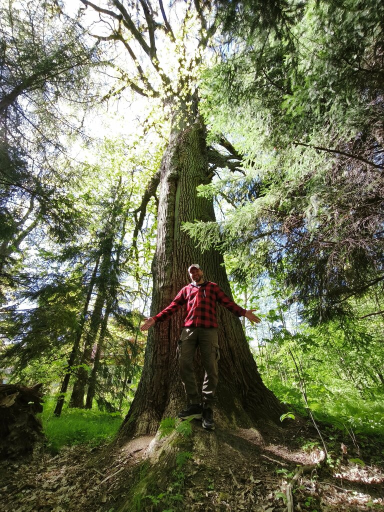 Turistik yerler Усадьба Санс-Эннуи, Lomonosov, foto
