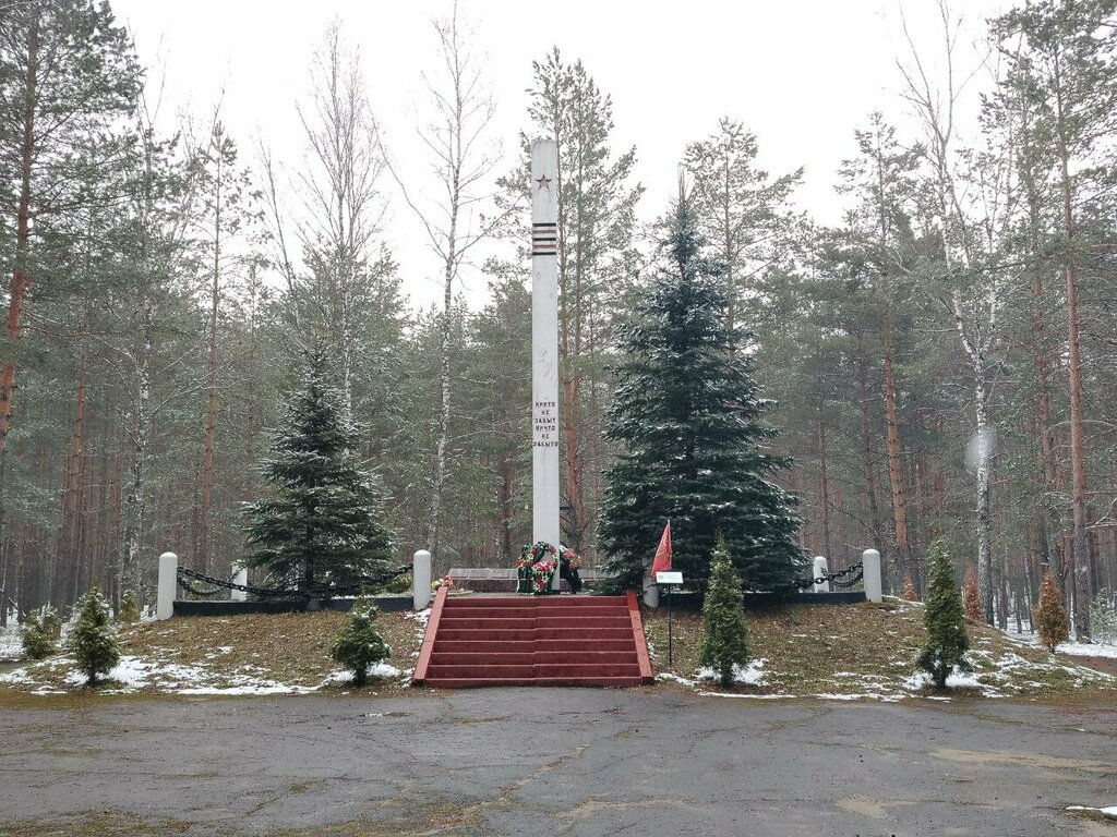 Anıt, heykel Воинам, умершим в госпитале, Brianskaya oblastı, foto
