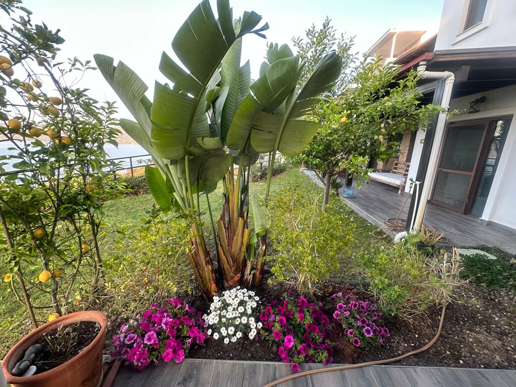 Konut blokları Karyan Adabükü Sitesi, Milas, foto