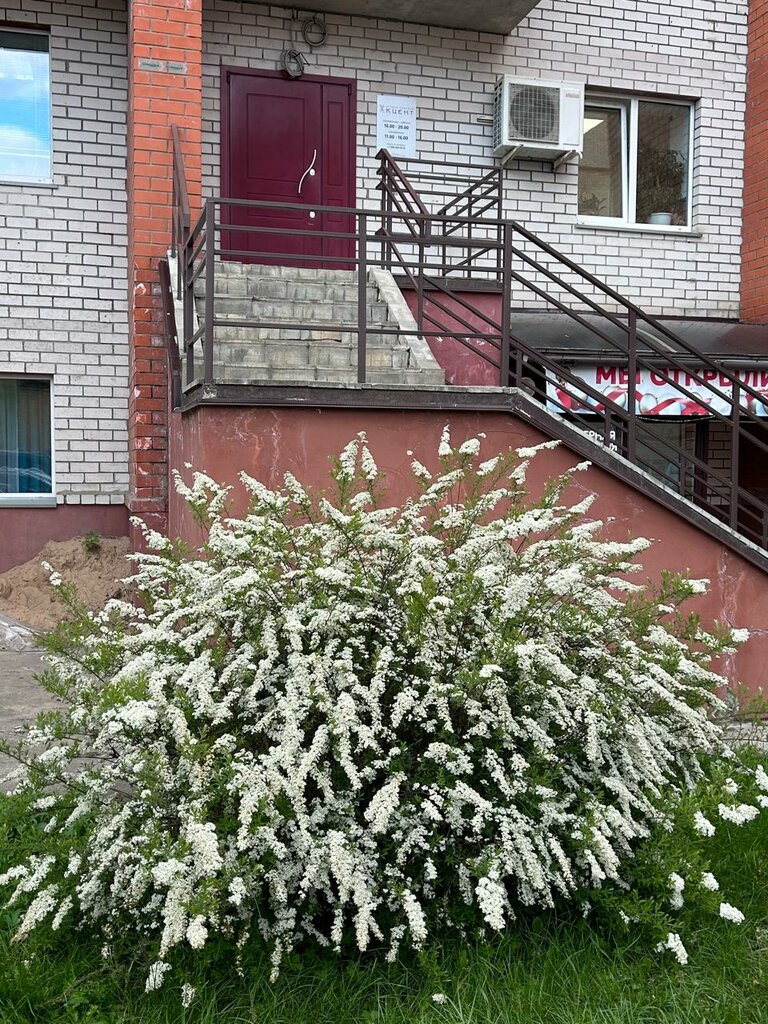 Kuaförler Akcent, Dubna, foto