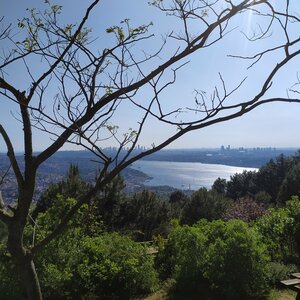 Karlıtepe Mesire Alanı (Kirazlıyayla Cad., No:151A, Beykoz, İstanbul), piknik alanı  İstanbul'dan