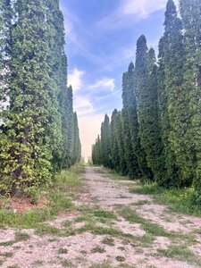 Лесопарк Джрвеж (Kotayk Region, Jrvezh Park), kültür ve eğlence parkları  Kotayk'tan
