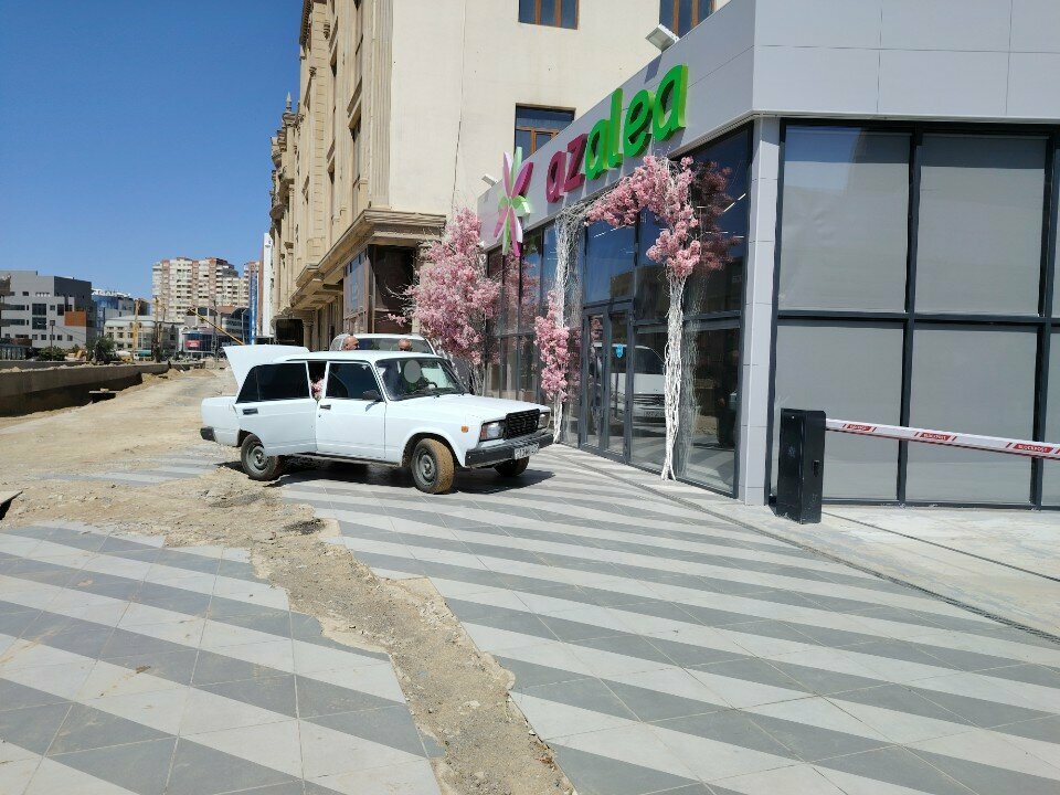 Çiçekçiler Azalea, Bakü, foto