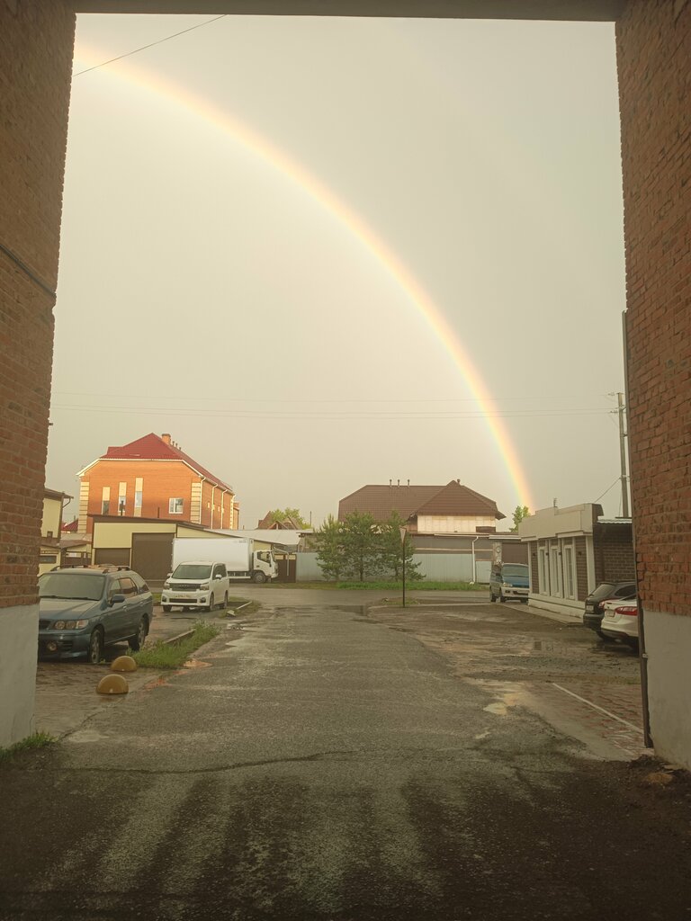 Petshop Экзотика, Tara, foto