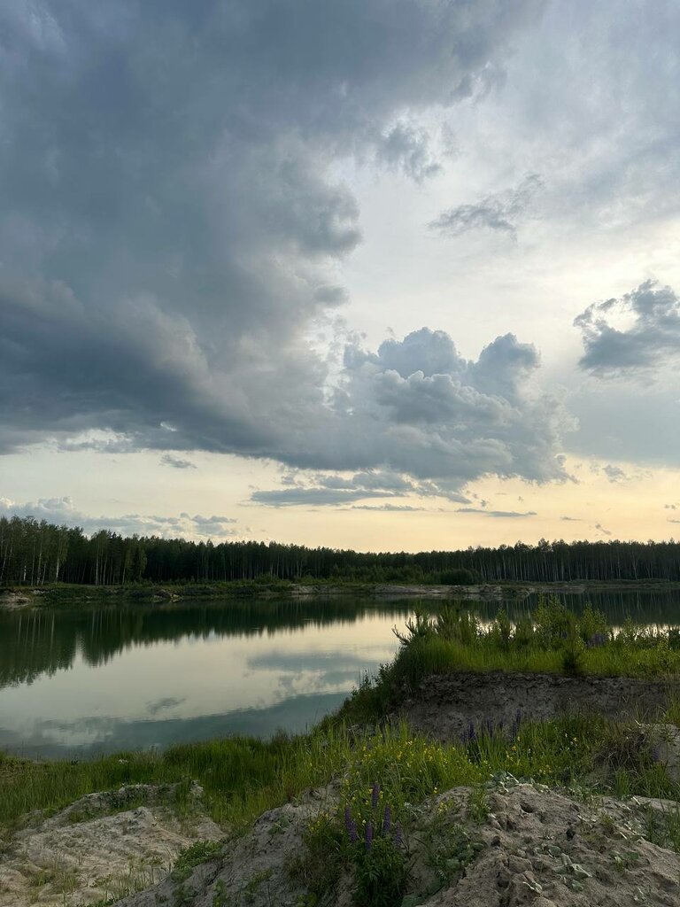 Madencilik işletmeleri Песчаный карьер Буяни, Vladimirskaya oblastı, foto
