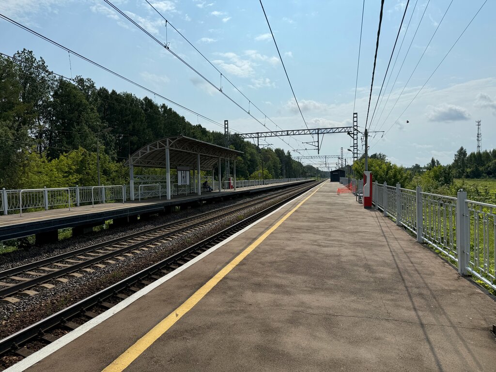 Tren istasyonu Streglovo, Moskova ve Moskovskaya oblastı, foto