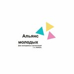 Альянс молодых (Festivalnaya ulitsa No:4Б), sivil toplum kuruluşları  Kinel'den