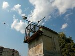 Голубиный питомник (Saint Petersburg, Nizhne-Ivanovskiy skver), evcil hayvan yetiştiricileri  Saint‑Petersburg'dan