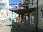 Wildberries (ulitsa Chernyshyova No:7, mikrorayon Novy gorod), teslimat noktası  Orsk'tan