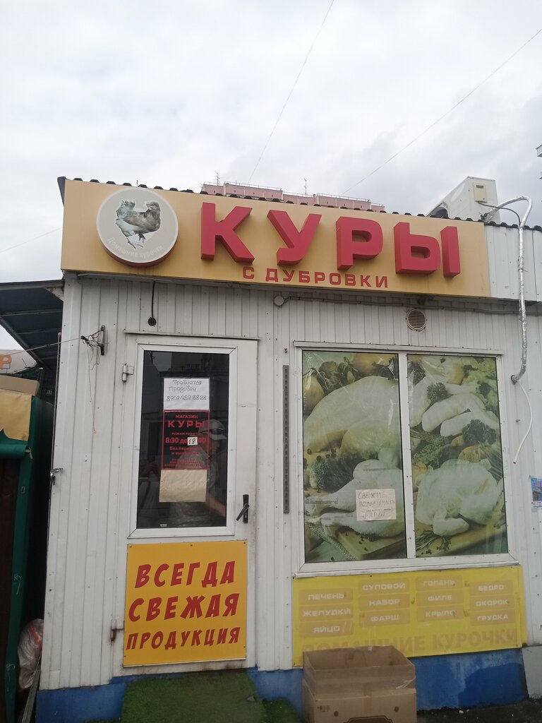 Kanatlı hayvan ürünleri ve yumurta Куры с Дубровки, Krasnodar, foto