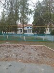 Committee of Forestry and Wildlife (ulitsa A. Yskakova No:20), çevre dernekleri  Çimkent'ten (Şımkent'ten)